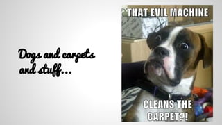 14 insane cleaning memes | PDF