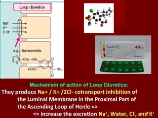 Pharmacology of the Kidney and Uterus | PPT
