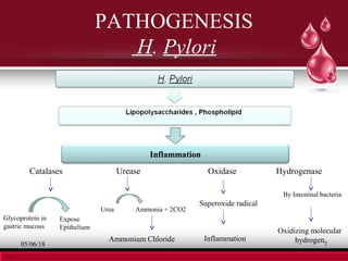 peptic ulcer & their new molecular target | PPT | Digestive Disorders ...