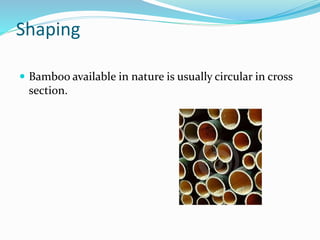 BAMBOO AS A BUILDING MATERIAL | PPTX