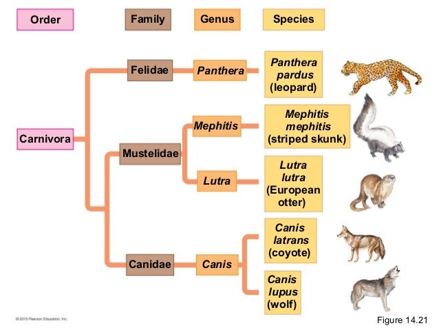 14 lecture presentation0