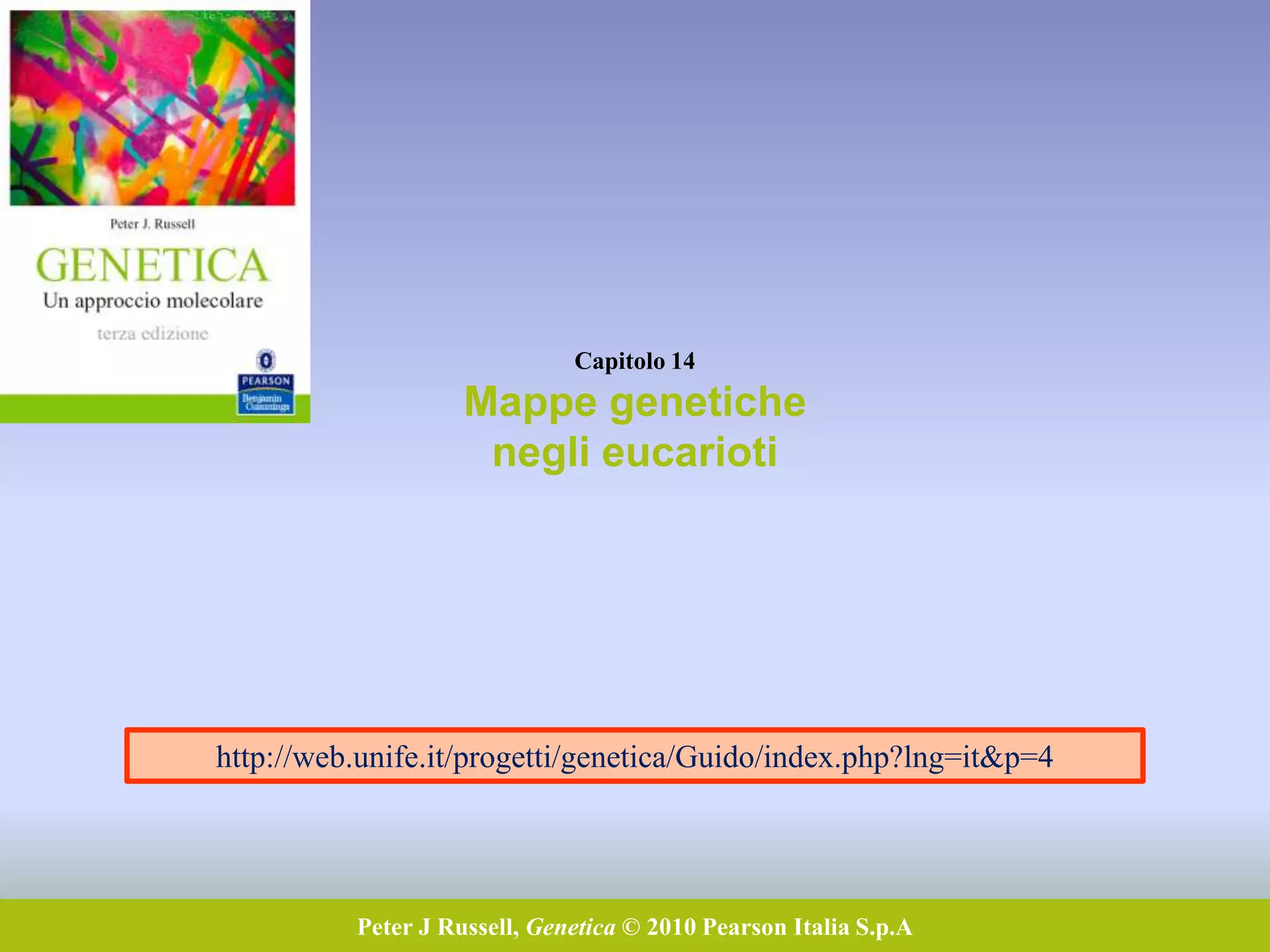 14 mappe genetiche eucarioti | PPT