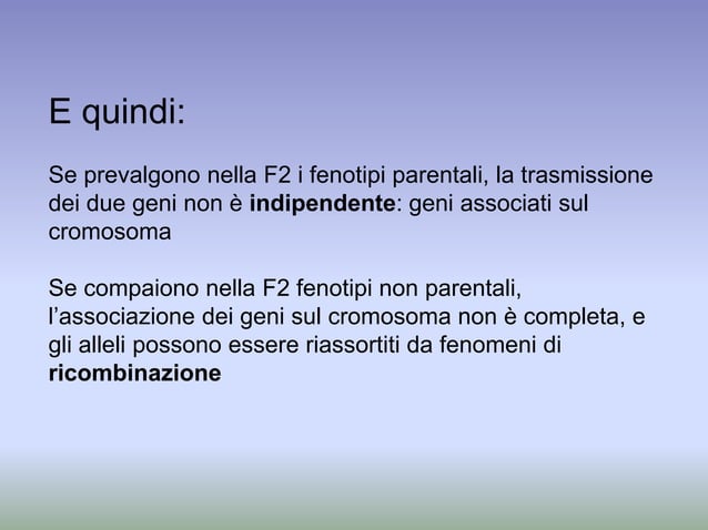 14 mappe genetiche eucarioti | PPT | Genetics | Science