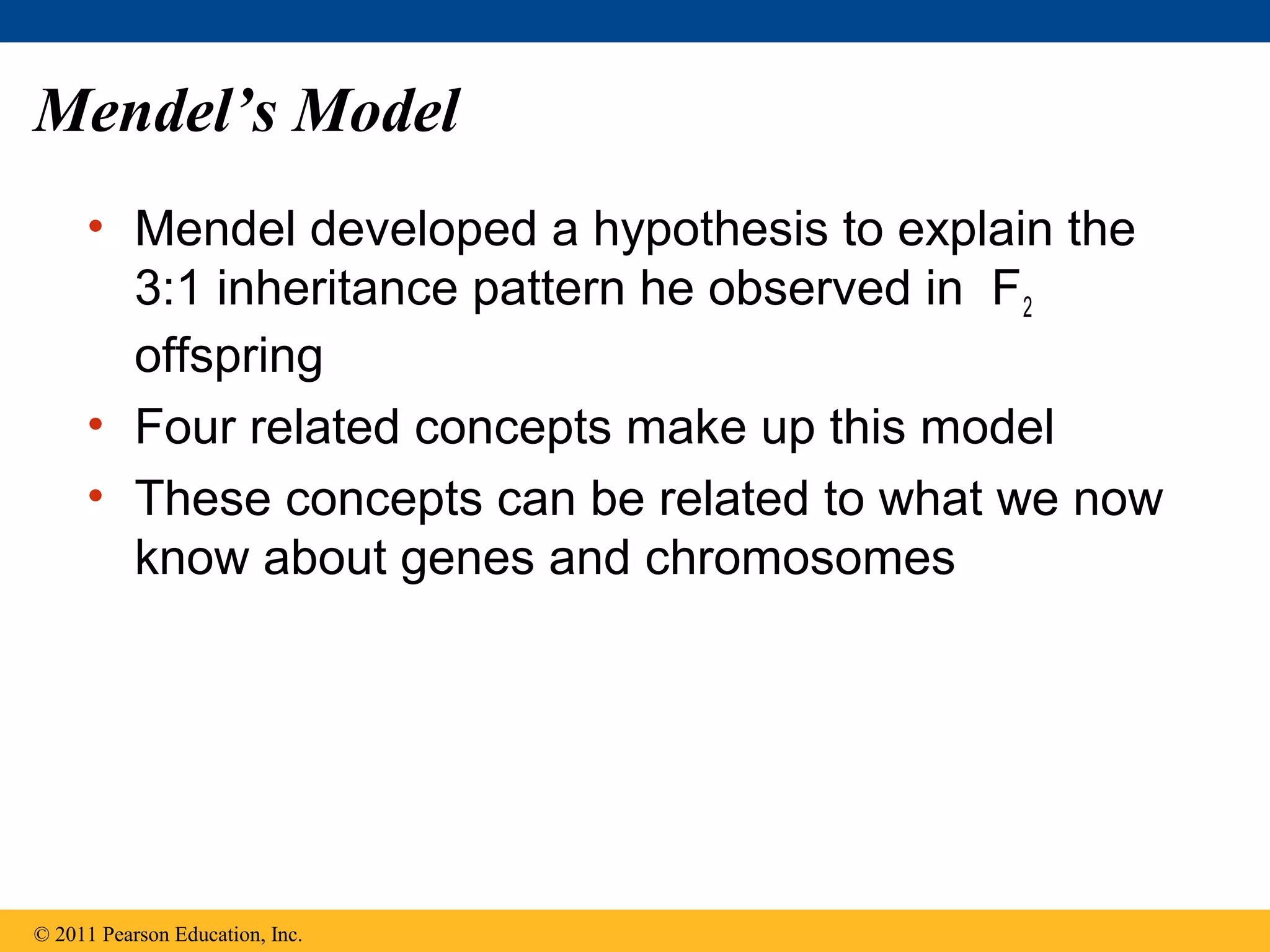 14 mendel and the gene idea | PPT
