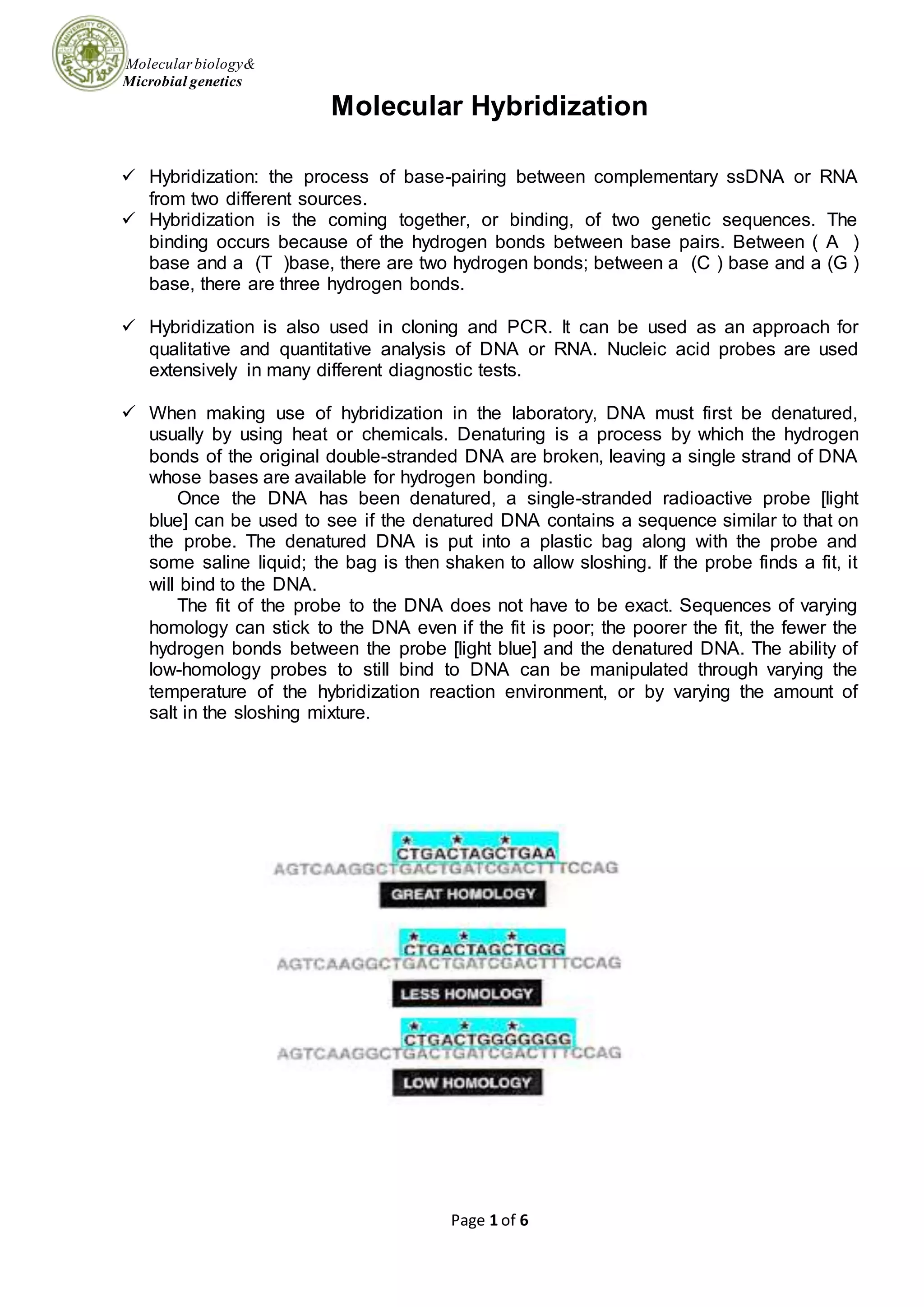 Molecular hybridization | DOC