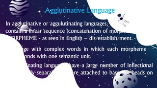 14 morphological typology | PDF