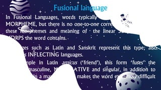 14 morphological typology | PDF