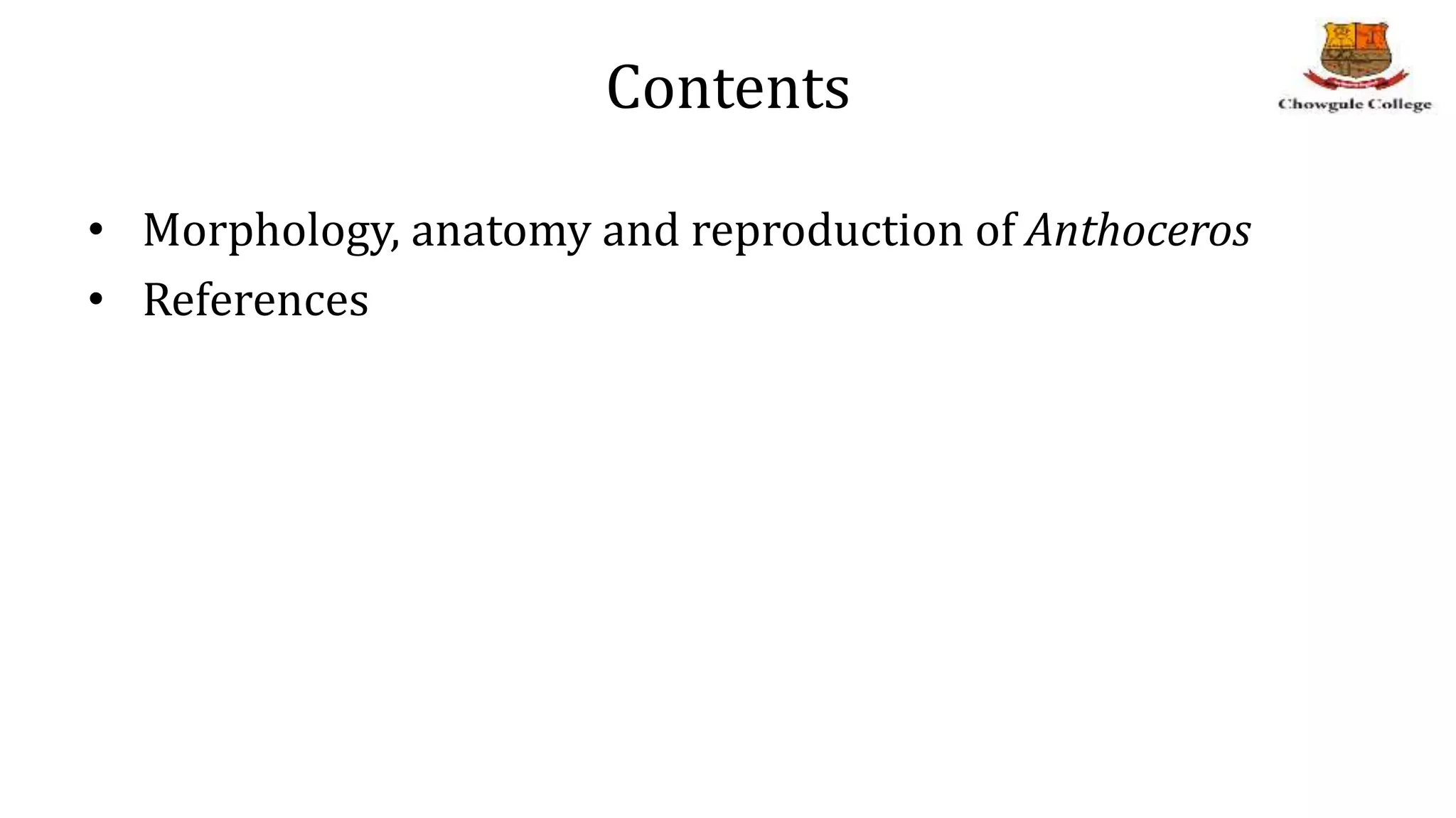 Morphology, anatomy and reproduction in Anthoceros | PPTX