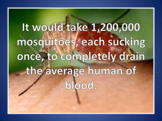 14 most interesting facts ever | PPT