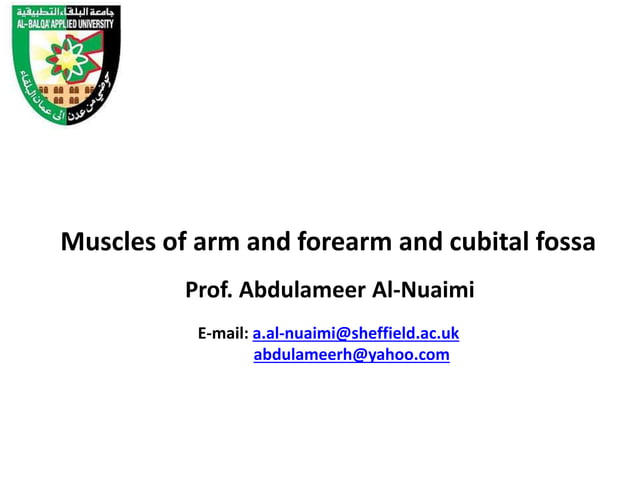 14_muscles_of_arm_and_forearm_and_cubital_fossa.pptx