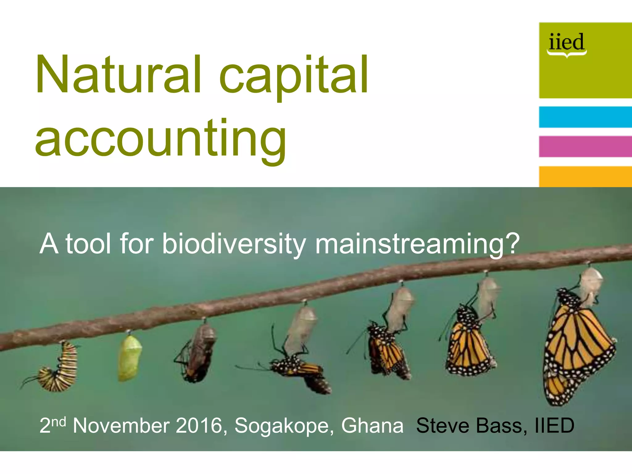 Natural capital accounting: a tool for biodiversity mainstreaming? | PPTX