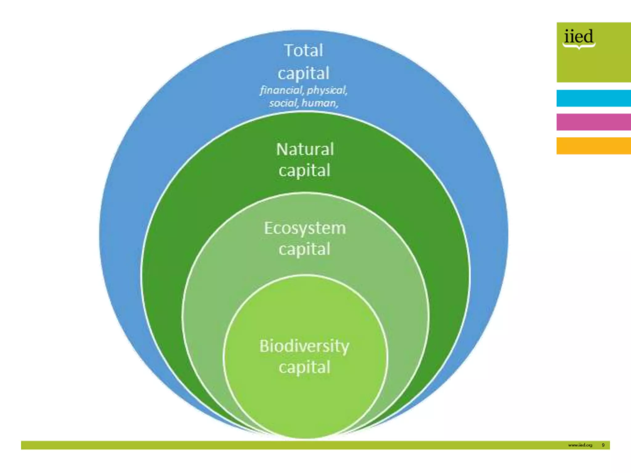 Natural capital accounting: a tool for biodiversity mainstreaming? | PPTX