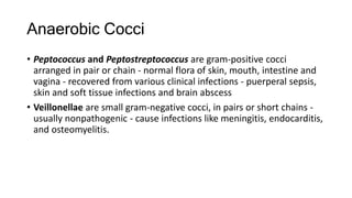 (14) NON-SPORING ANAEROBE.pptx microbiology | PPT