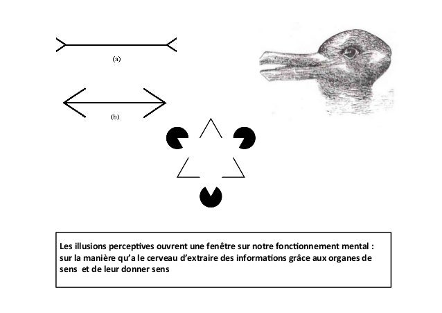 Illusions cognitives