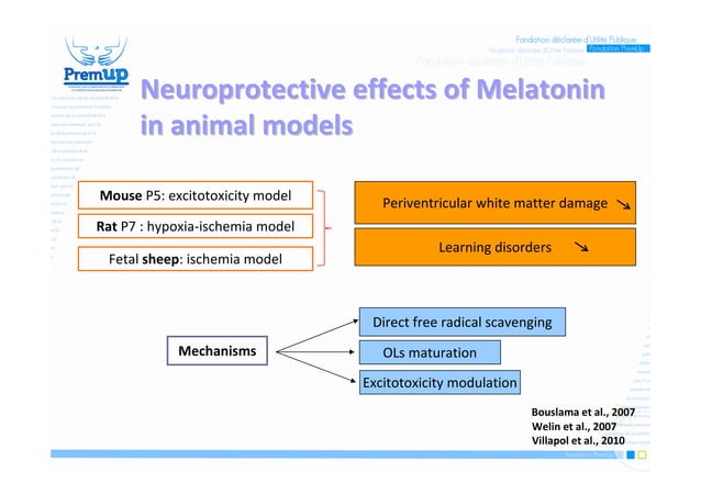 Neuroprotection in preterm infants: hope or utopy? | PDF | Brain and ...
