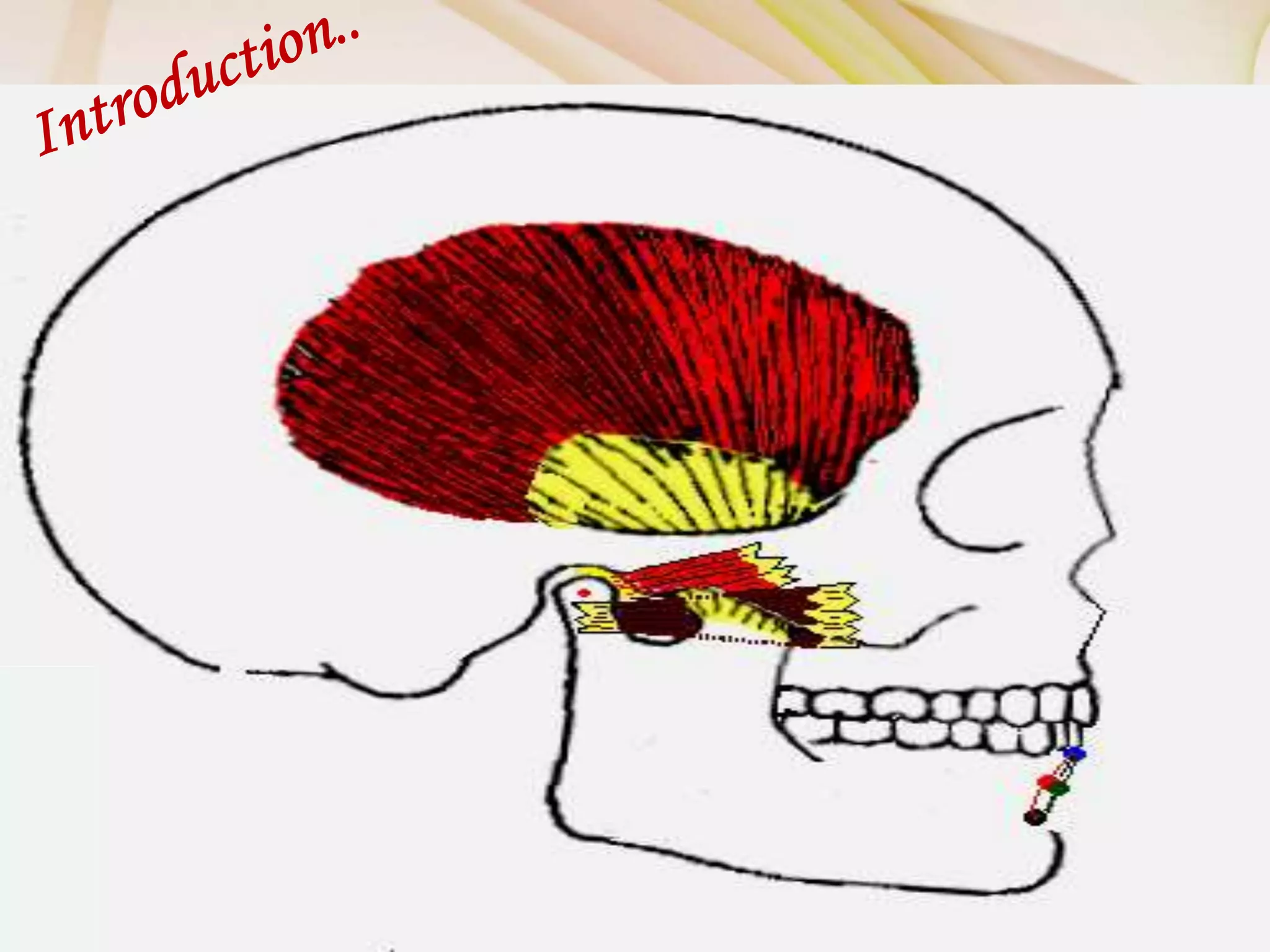 14 Occlusal therapy for management of TMDs.pptx