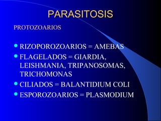 14 parasitosis | PPT