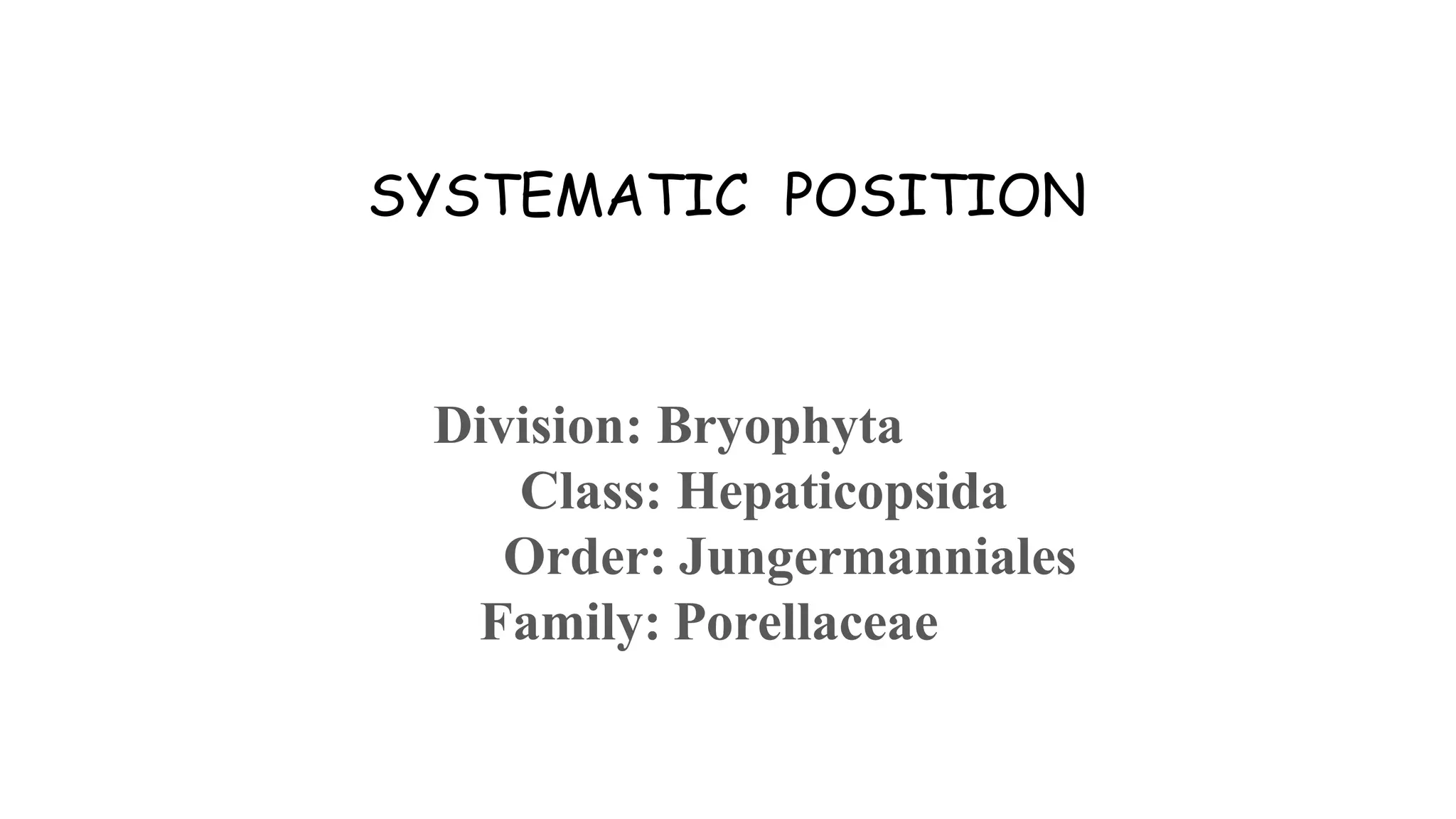 Porella : features, morphology, anatomy, reproduction etc. | PPTX