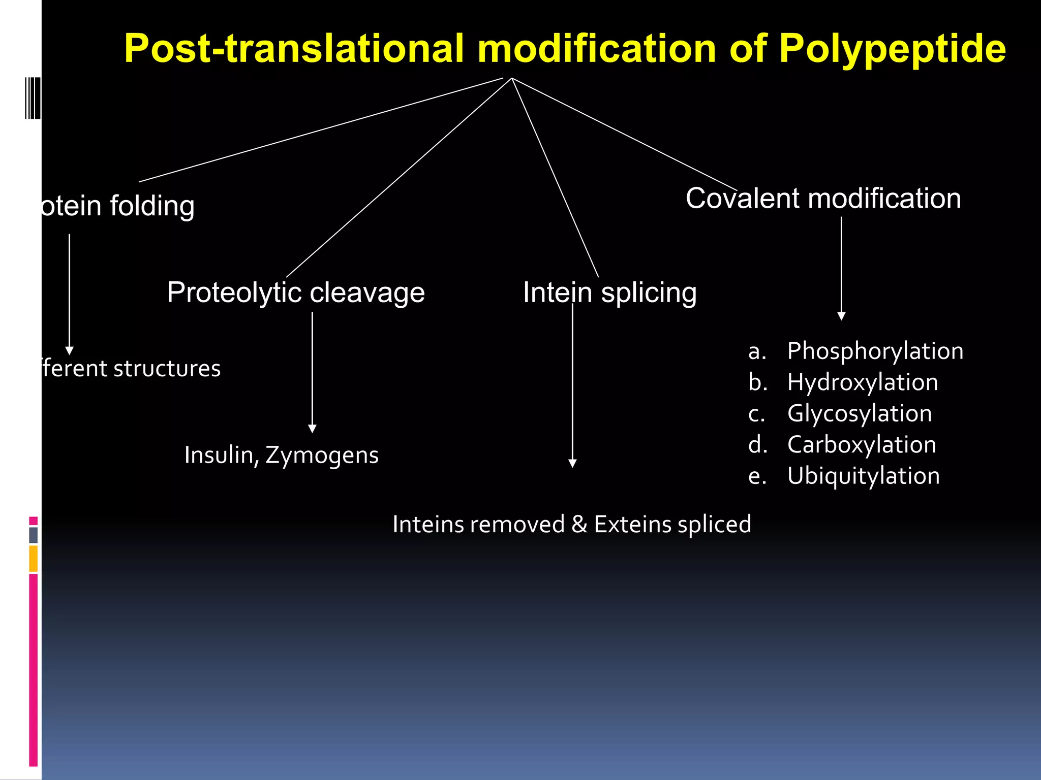 Post translational modification by Prof Viyatprajna Acharya | PPTX