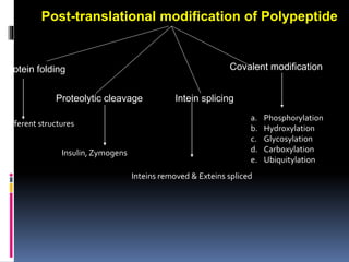 Post translational modification by Prof Viyatprajna Acharya | PPTX