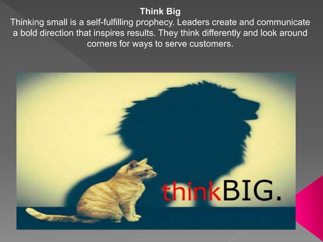 14 principles of amazon | PPT