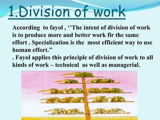 14 principles of management | PPTX