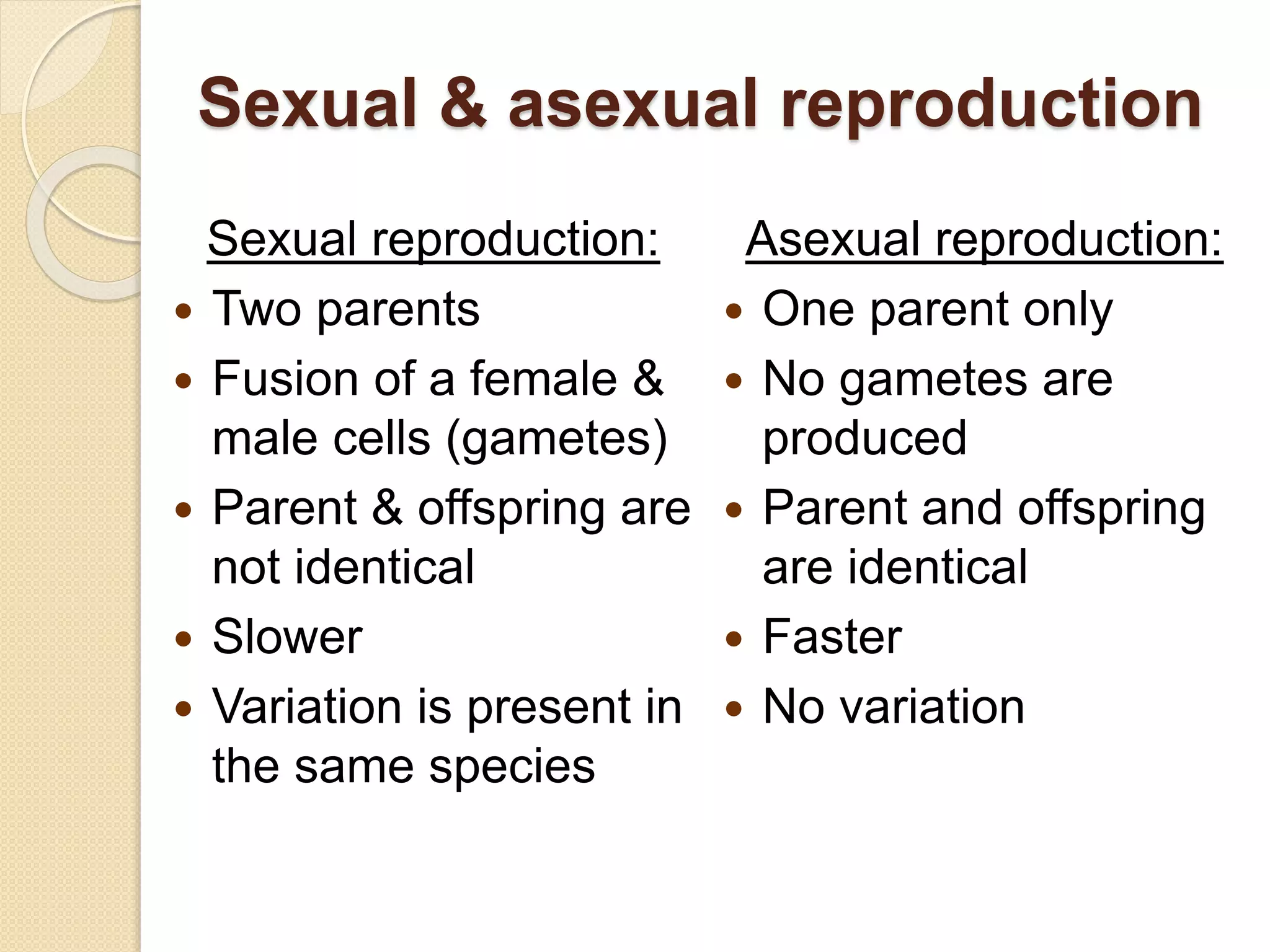 14 reproduction in plants edexcel 2020 | PPTX