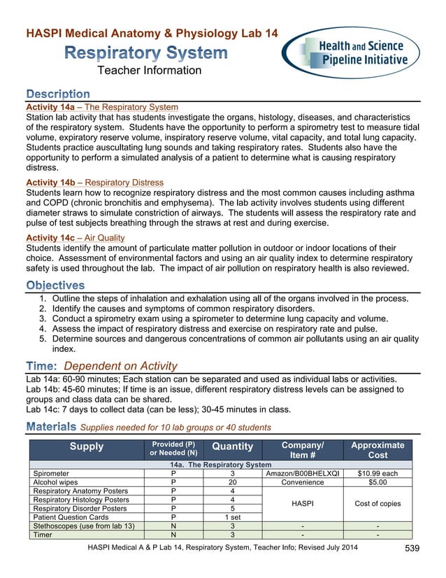 14 respiratory system_-_info | PDF | Lung and Respiratory Health ...