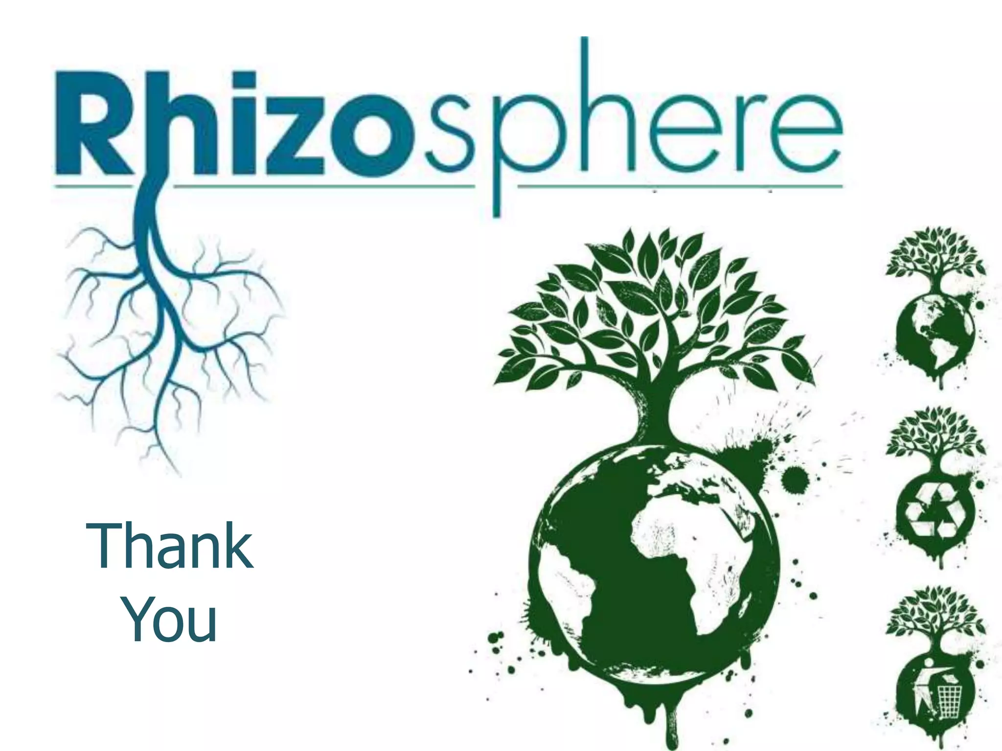 Rhizosphere vs phyllosphere | PPT