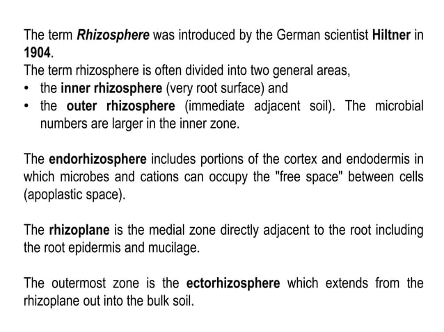 Rhizosphere vs phyllosphere | PPT | Agriculture | Industries