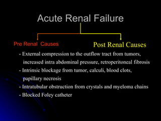14 Ri Acute Nonoliguric Renal Failure | PPT