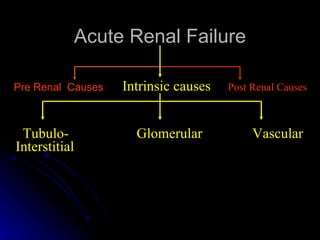 14 Ri Acute Nonoliguric Renal Failure | PPT