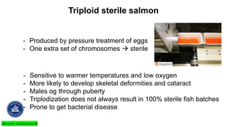 Farm animals in aquatic systems - Anna Troedsson-Wargelius | PDF