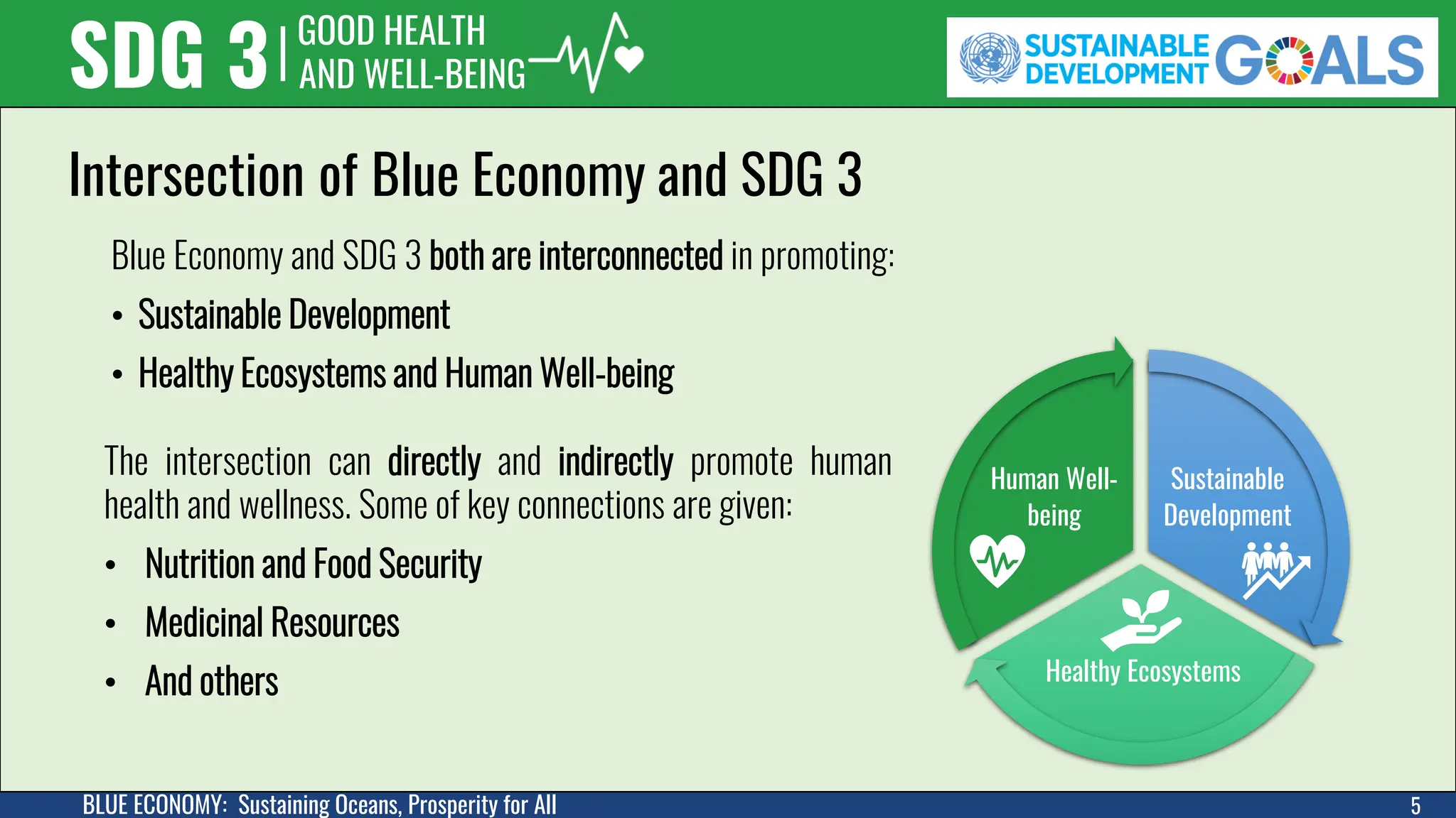 Sustainable Development goal 3 and Blue Economy | PDF