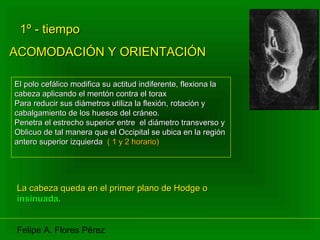 Semiología del Parto y Puerperio | PPT