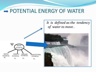 Energy State Of Water | PPSX