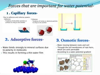 Energy State Of Water | PPSX