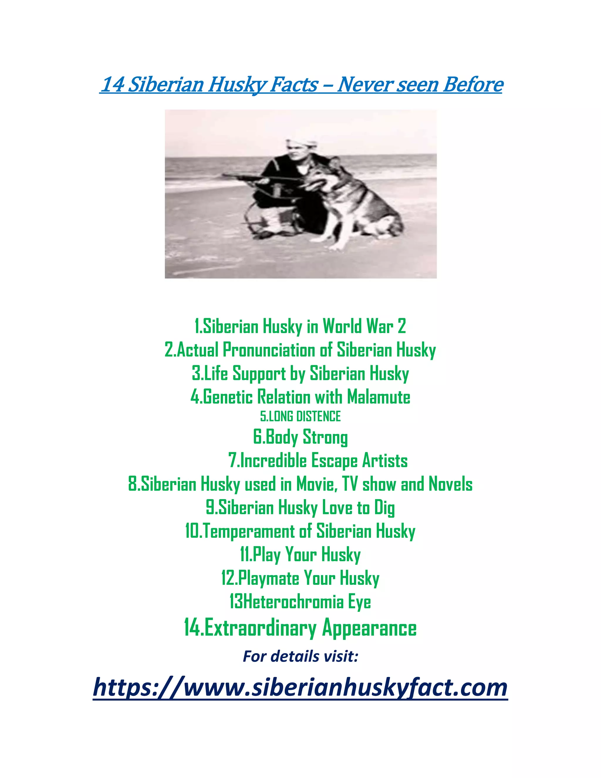 14 siberian husky facts that never seen before | PDF
