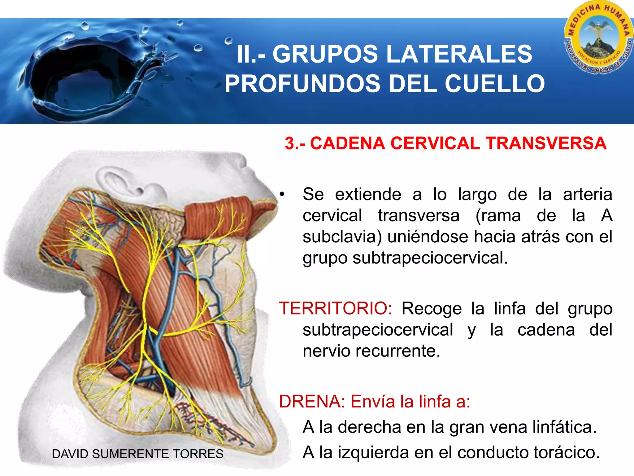 Sistema Linfático del Cabeza y Cuello | PPTX