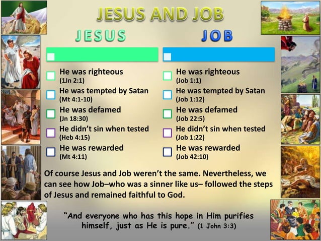 14 some lessons from job | PPTX