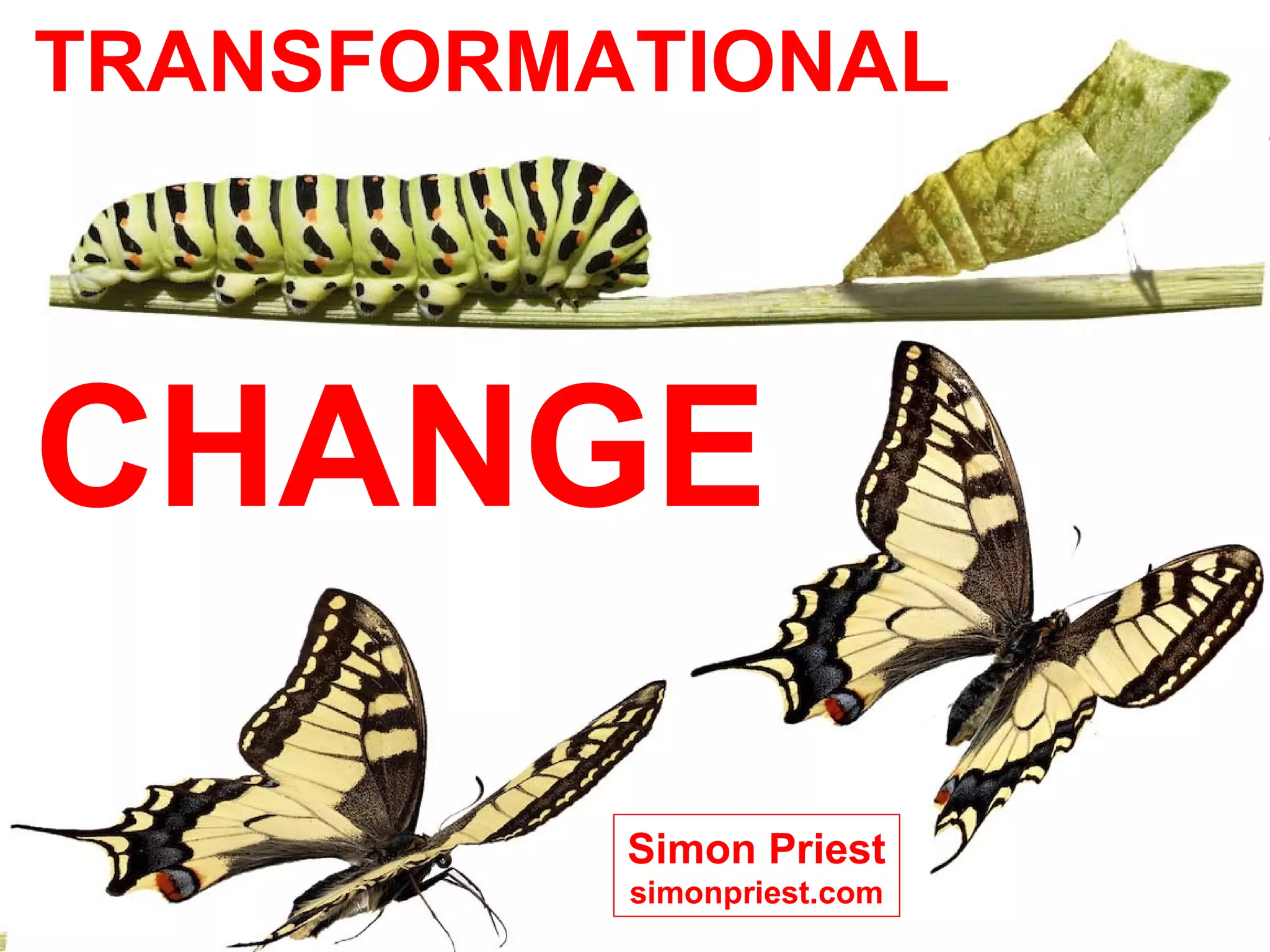 Transformational Change | PPT