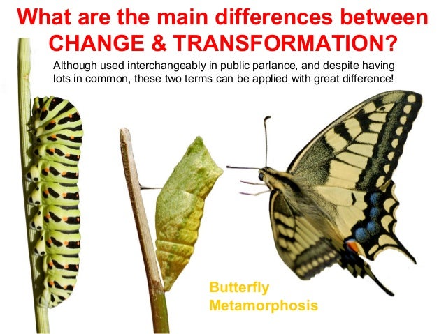 Transformational Change