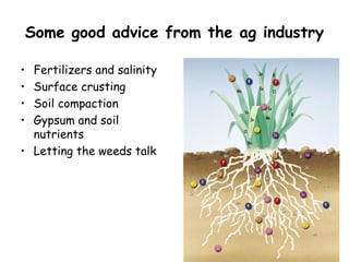 Agricultural Soil Science | PPT