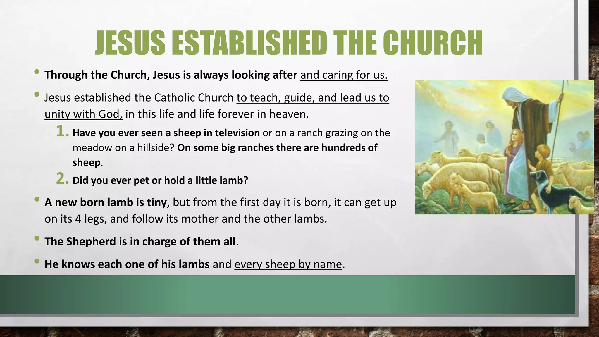 The Catholic Church | PPTX