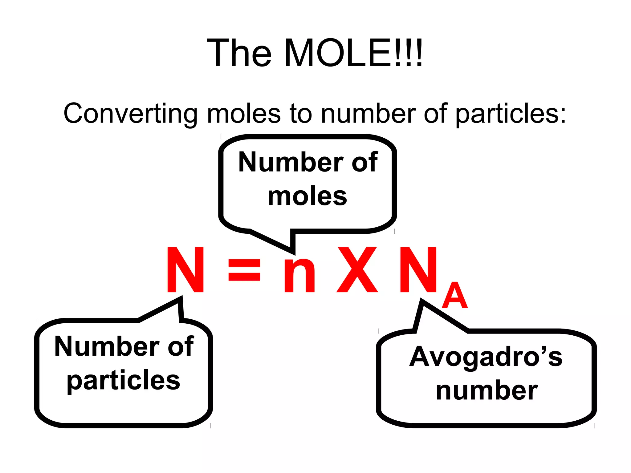 14 the mole!!! | PPT