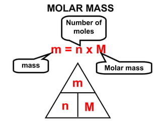 14 the mole!!! | PPT