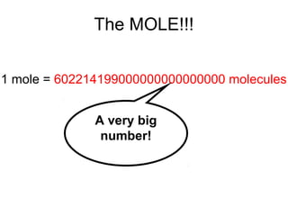 14 the mole!!! | PPT
