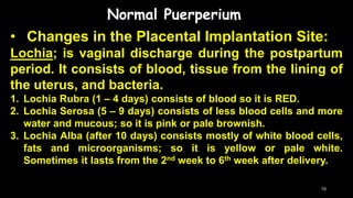 Puerperium and Postpartum Period | PPTX