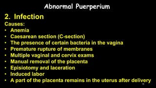 Puerperium and Postpartum Period | PPTX