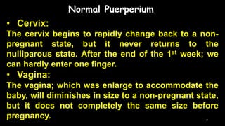 Puerperium and Postpartum Period | PPTX